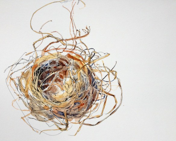 Nest Demonstration | Drawn In