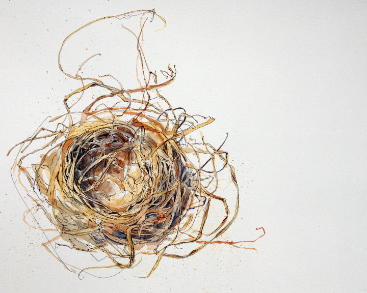 Nest Demonstration | Drawn In