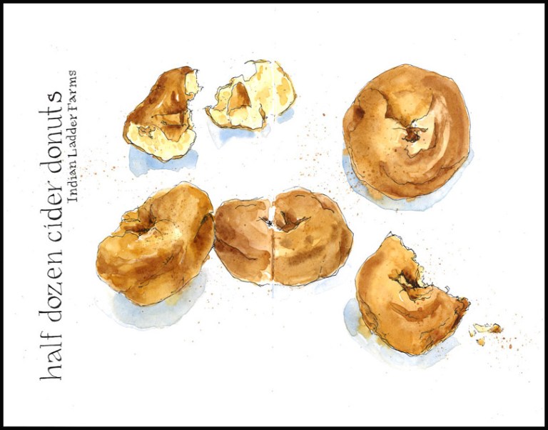 Drawing Donuts | Drawn In