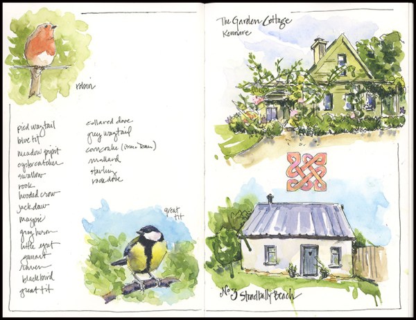Ireland-Birds | Drawn In