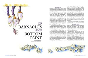 Barnacles! | Drawn In