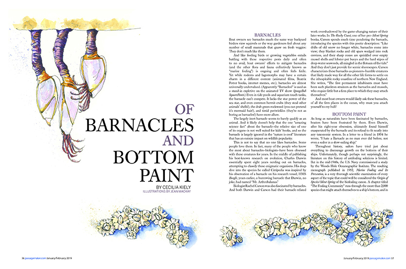 Barnacles! | Drawn In