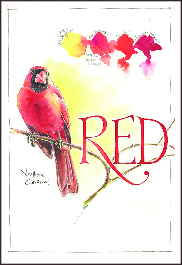 Reds | Drawn In