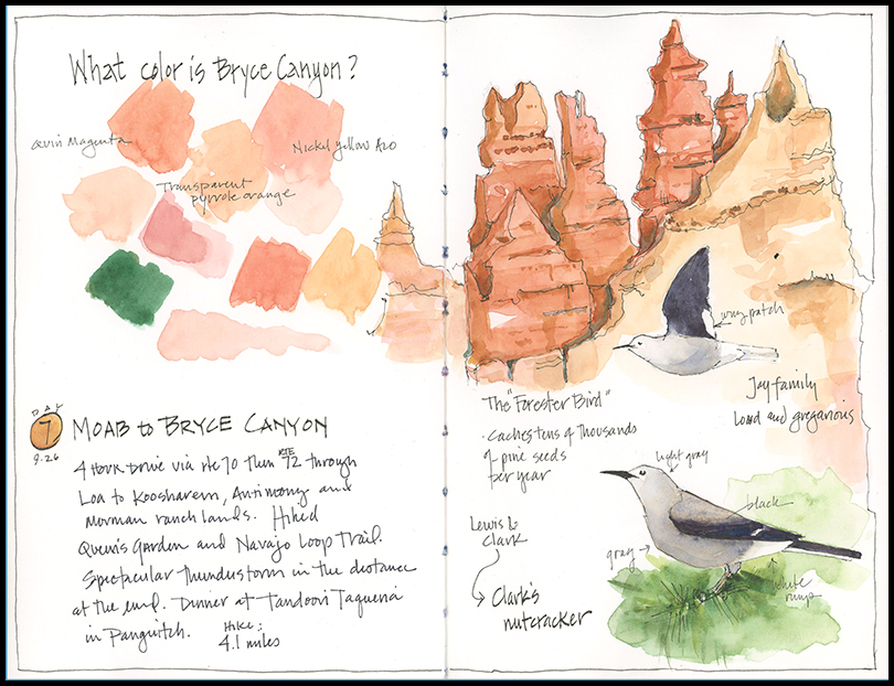 Bryce Canyon Colors | Drawn In