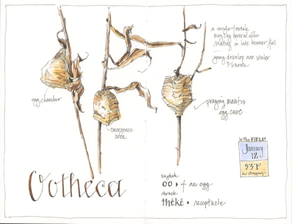 Drawn In | Art • Nature • Exploration | Page 23