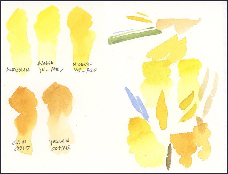 The Promise of Yellow | Drawn In