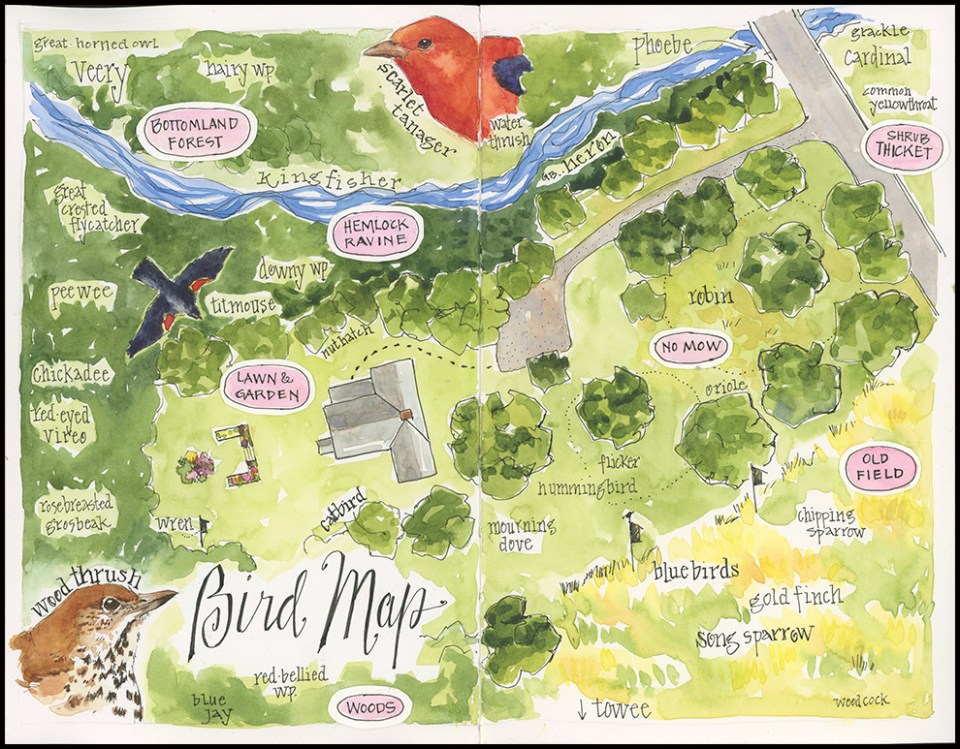 Drawn In | Art • Nature • Exploration | Page 19