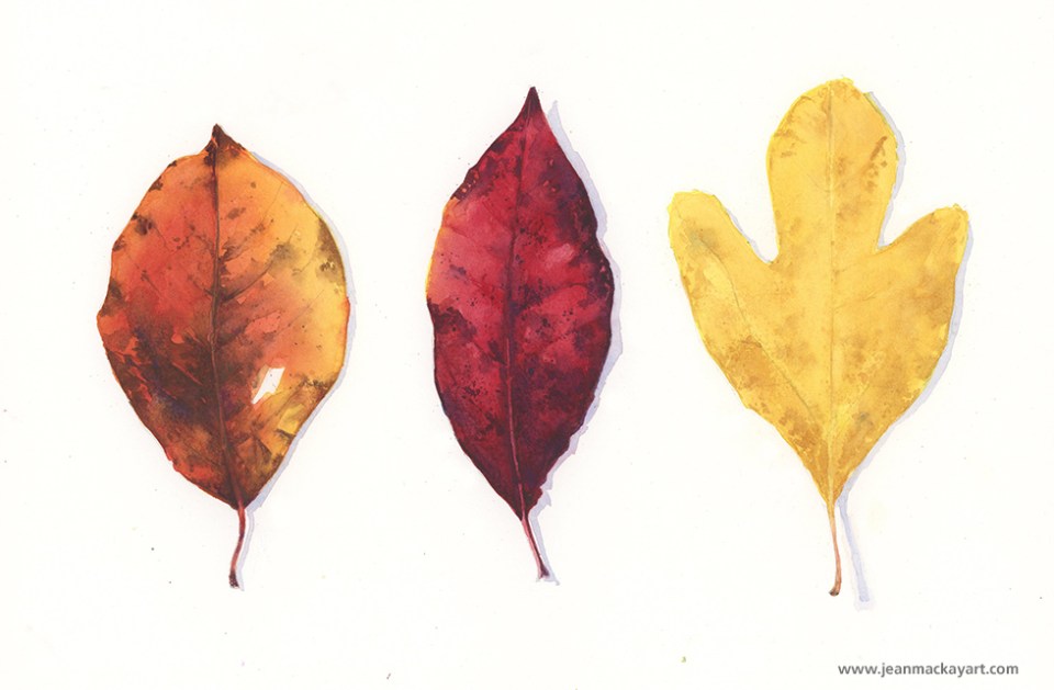 Drawn In | Art • Nature • Exploration | Page 18