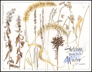 Top 5 Tips for Sketching Through the Winter | Drawn In