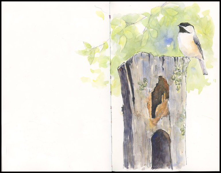 Drawn In | Art • Nature • Exploration | Page 13