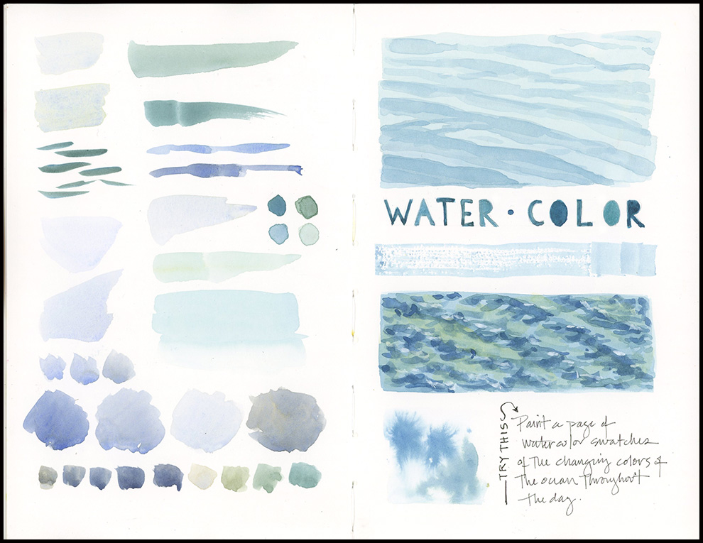 Notes from the Coast | Drawn In
