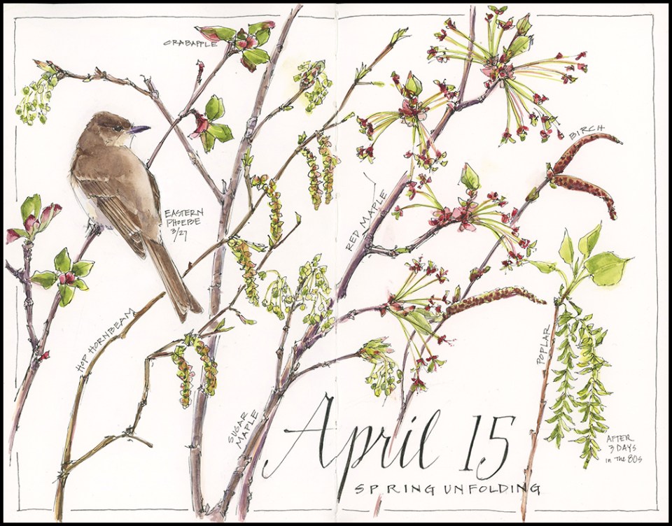 Drawn In | Art • Nature • Exploration | Page 7