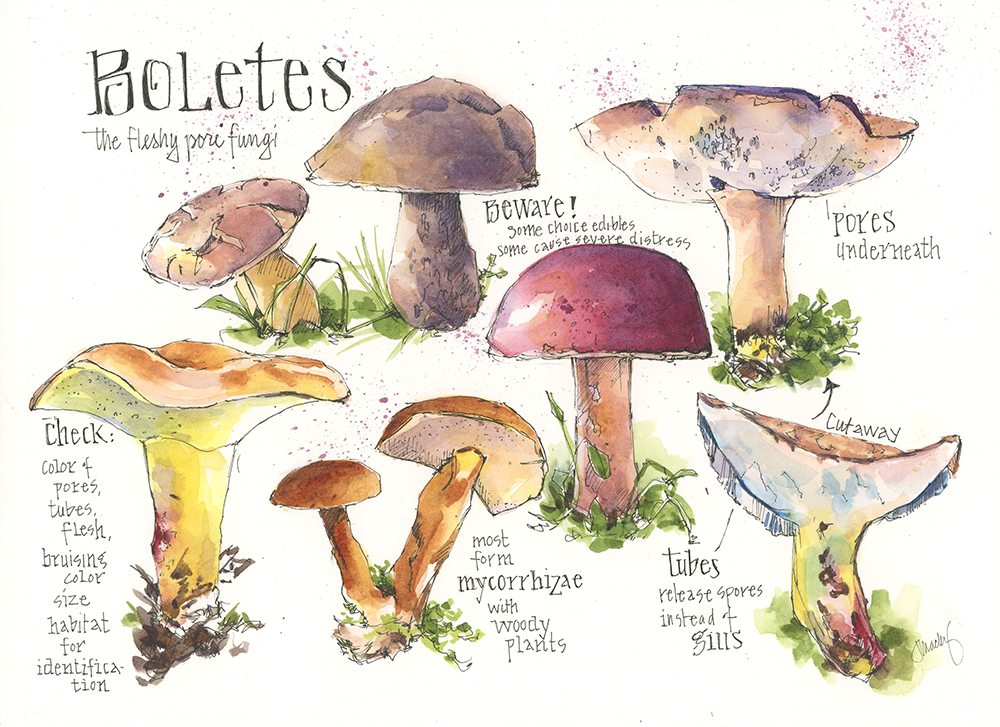 Paintings | Drawn In