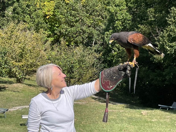 Drawn In | Art • Nature • Exploration | Page 3