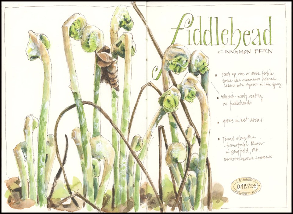 Drawn In | Art • Nature • Exploration