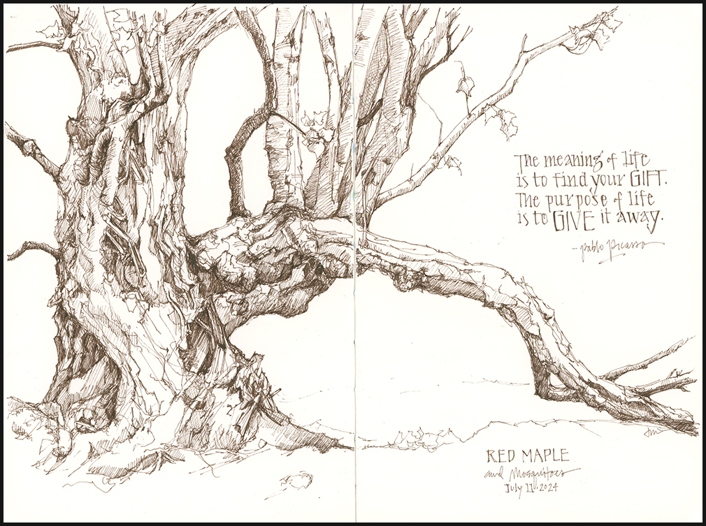 Drawn In | Art • Nature • Exploration