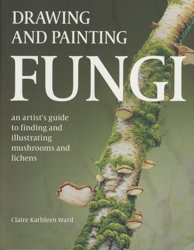 Drawn In | Art • Nature • Exploration