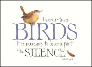 Drawn In | Art • Nature • Exploration